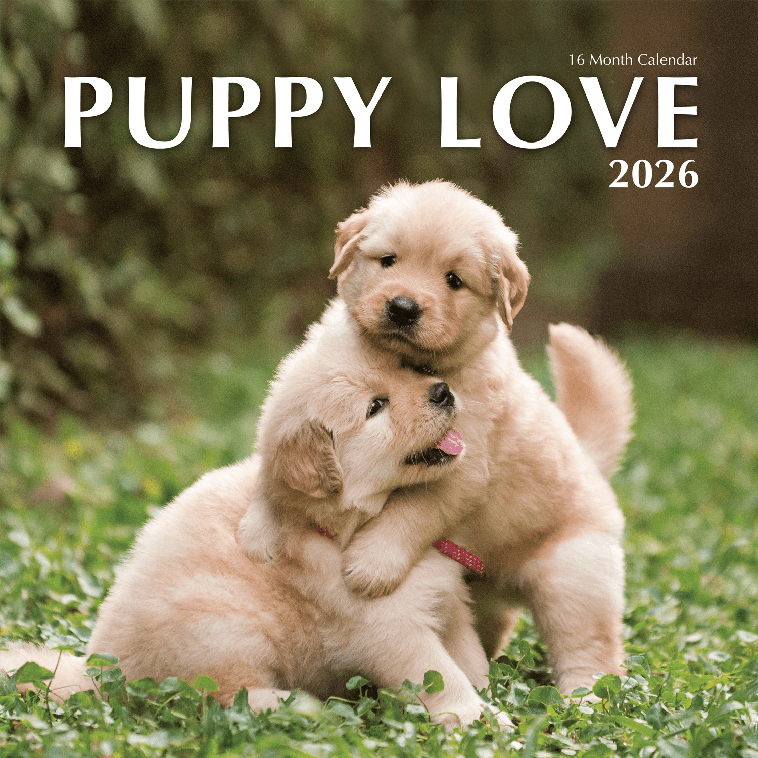 2026 Puppy Love Hangable Wall Calendar - 12" Full Page Months Dog Cute ...