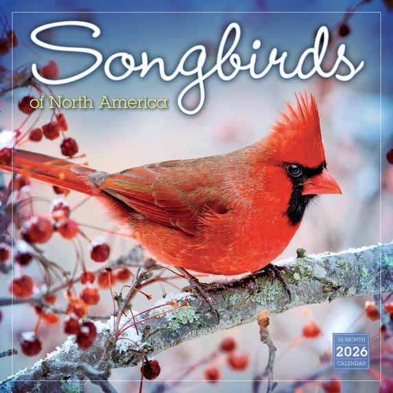 2026 Songbirds of North America Wall Calendar, (Paperback) - Walmart.com