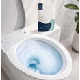 2026 Upgraded Foaming Cleaning Powder, Fast Dissolving Daily Toilet ...