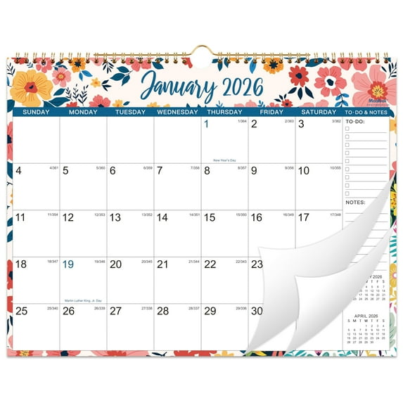 2026 Wall Calendar, 12 Months January 2026 to December 2026, Large ...
