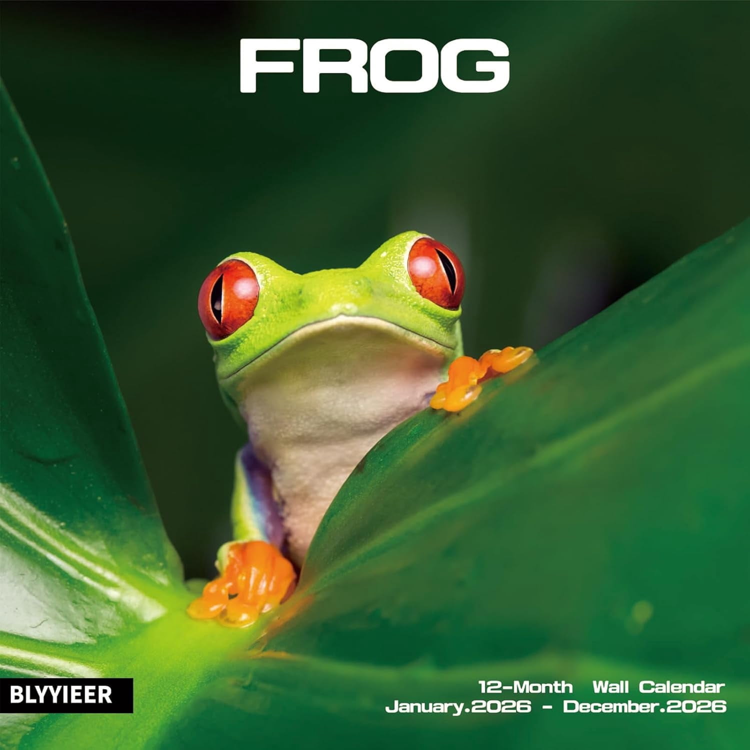 2026 Wall Calendar,Calendar 2026,Frog Monthly Wall Calendar, 12" x 24 ...