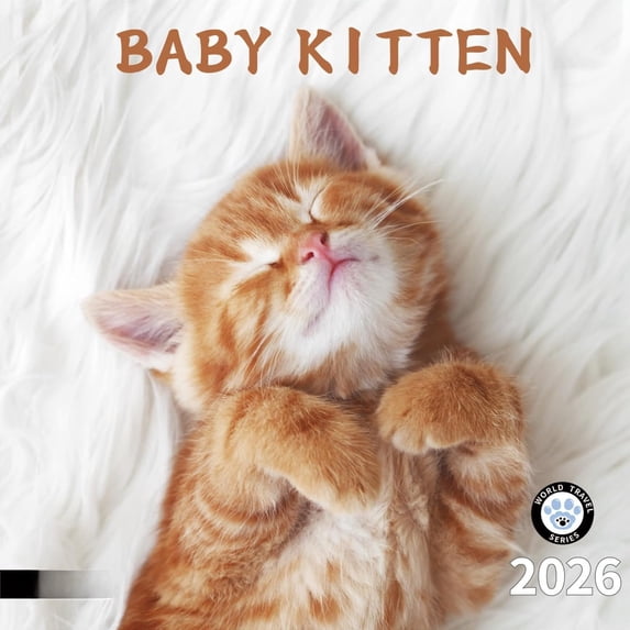 2026 Wall Calendar,Calendar 2026, November 2025 - December 2026, Wall ...