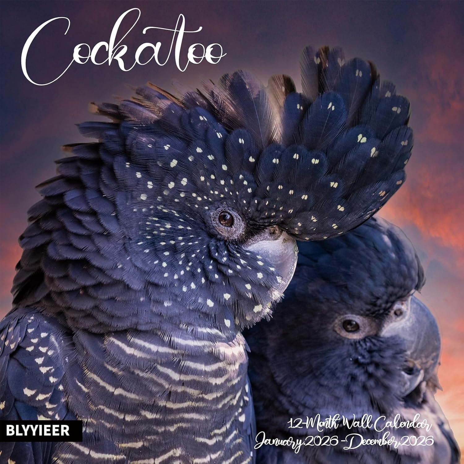 2026 Wall Calendar,Cockatoo Calendar 2026,OWL Monthly Wall Calendar, 12 ...