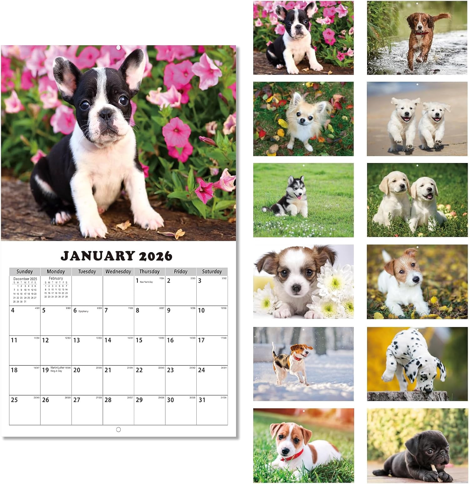 2026 Wall Calendar - Monthly Calendar 2026-2027, Jan 2026 - Jan 2027 ...