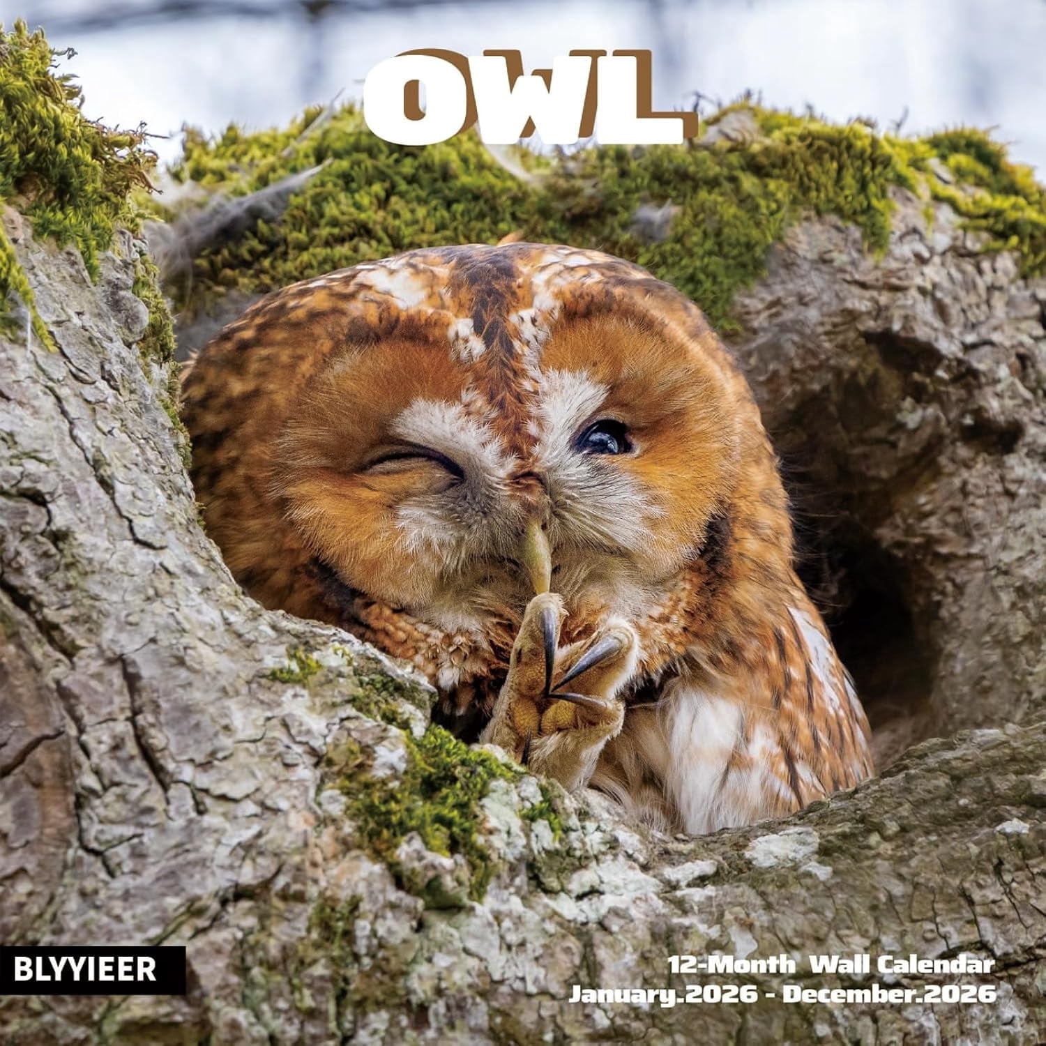 2026 Wall Calendar,Owl Calendar 2026,OWL Monthly Wall Calendar, 12" x ...