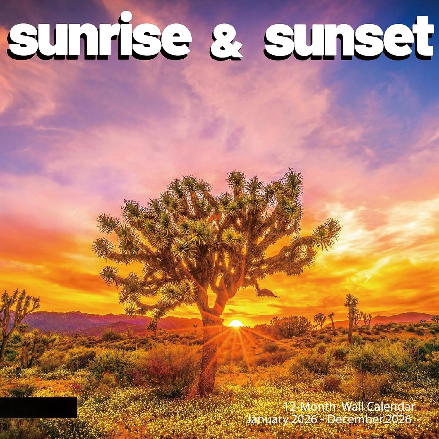 2026 Wall Calendar, Sunrise or Sunset Wall Calendars,2026 Monthly ...
