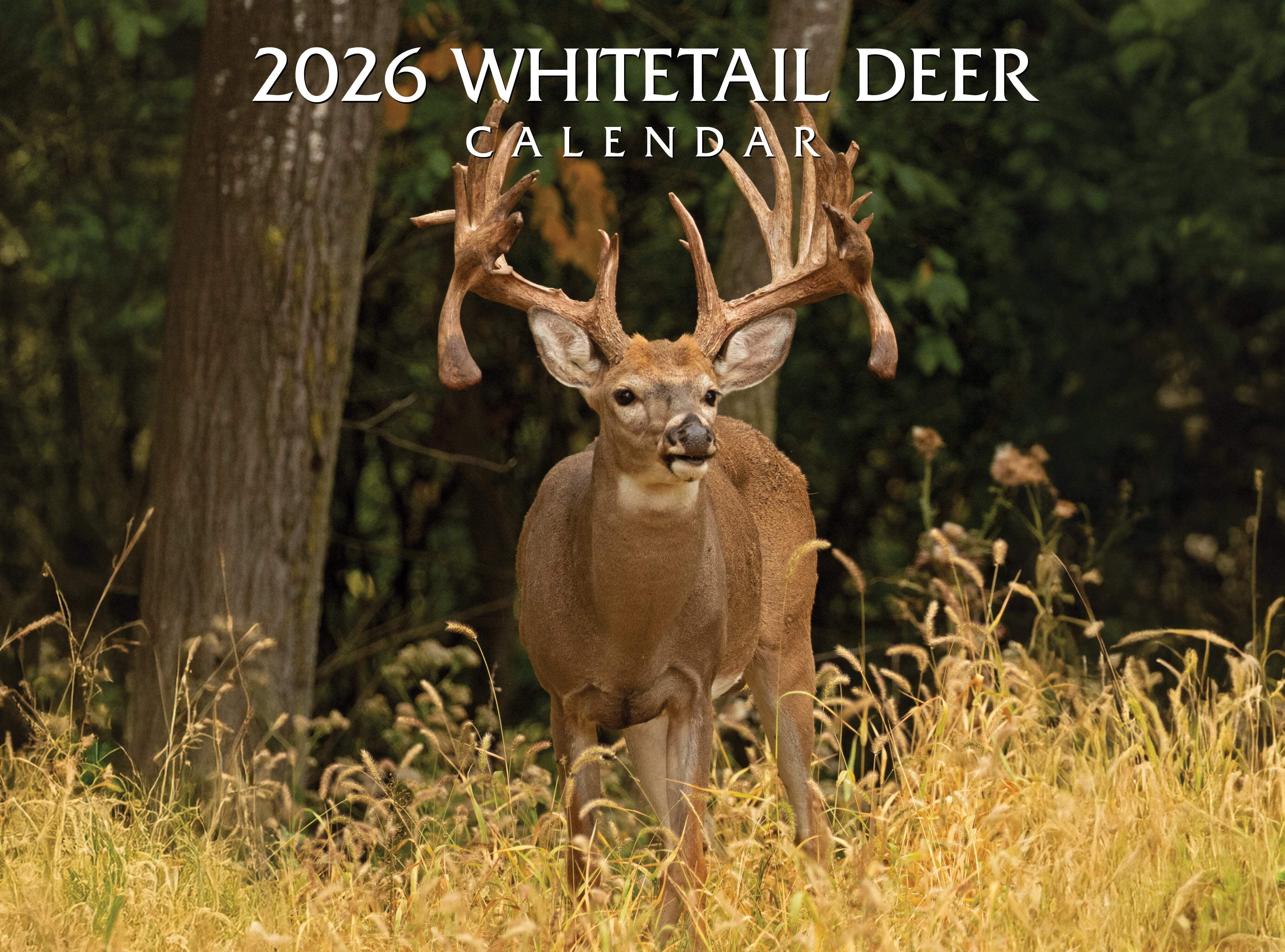 2026 Whitetail Deer Calendar - Walmart.com