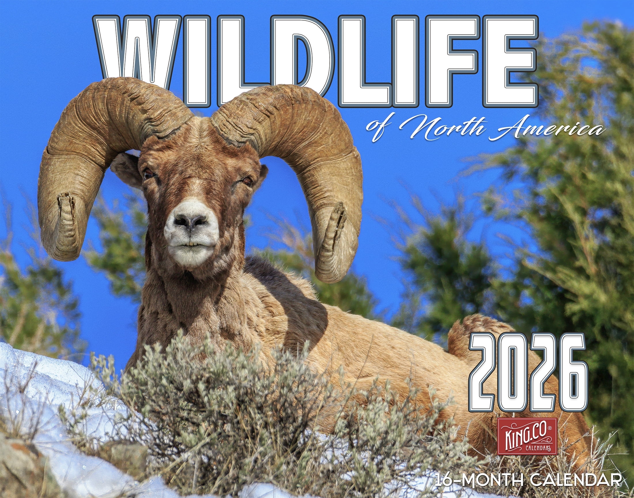 2026 Wildlife of North America Wall Calendar 16-Month X-Large Size ...