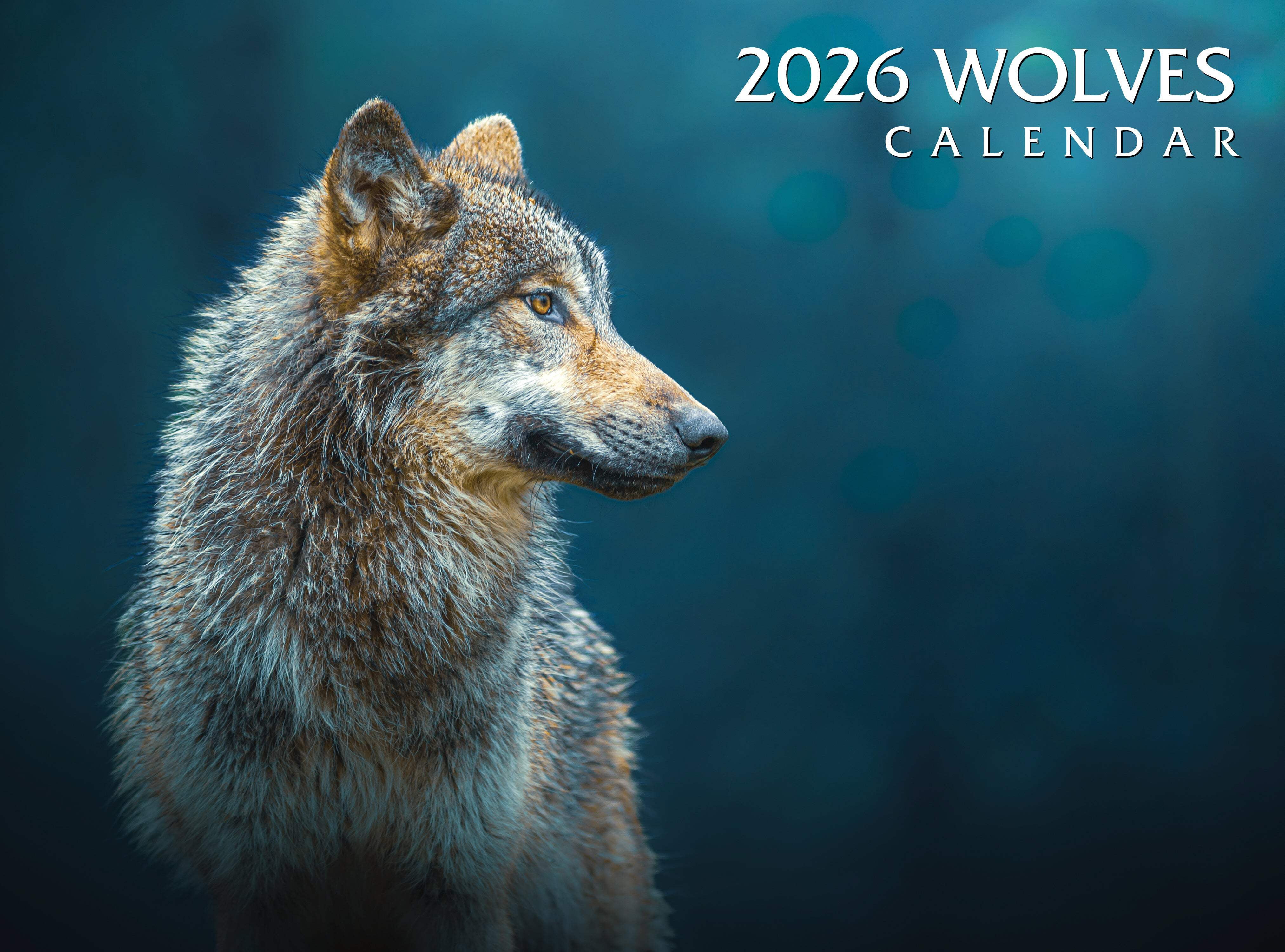 2026 Wolves Calendar - Walmart.com