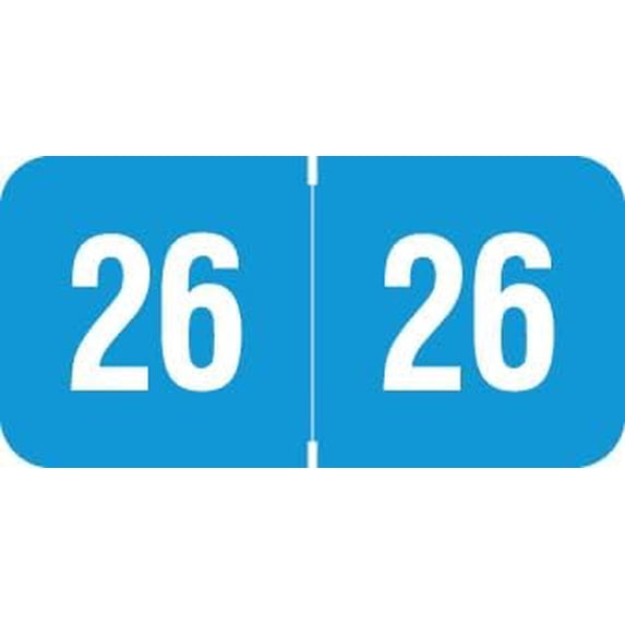 2026 Year Stickers, 2026 Chart Stickers, Light Blue Color Coded ...