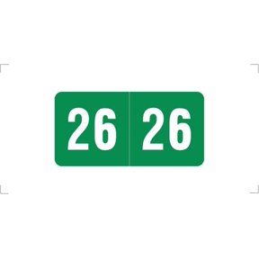 500Pcs 2025 Year Stickers, Self Adhesive File Folder Year Labels, Color ...