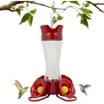 203CPBN Glass Hummingbird Feeder for Outdoors with Perches, Ant Moat ...