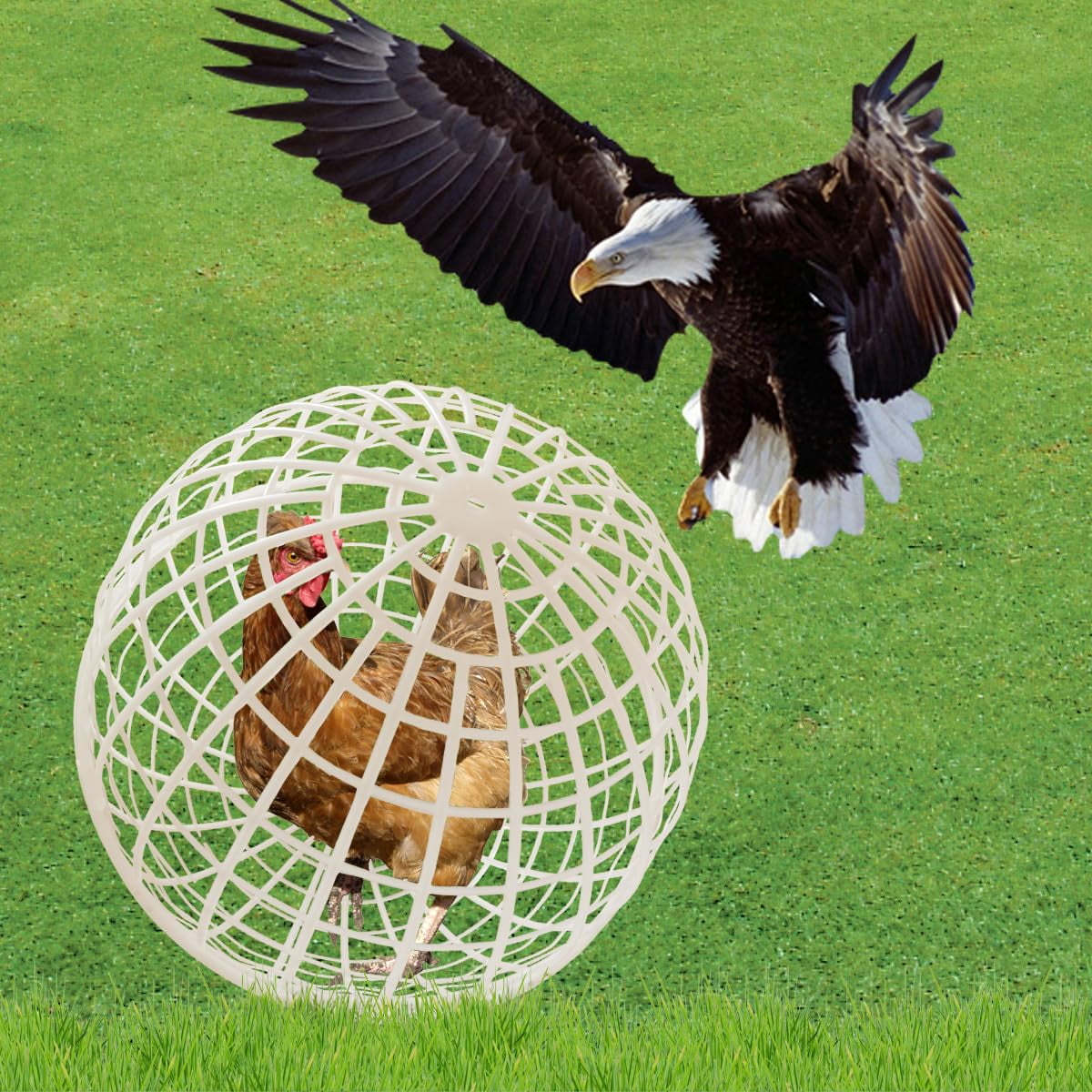 20CM Ball-Shaped Movable Chicken Coop, Outdoor Rollable Round Chicken ...