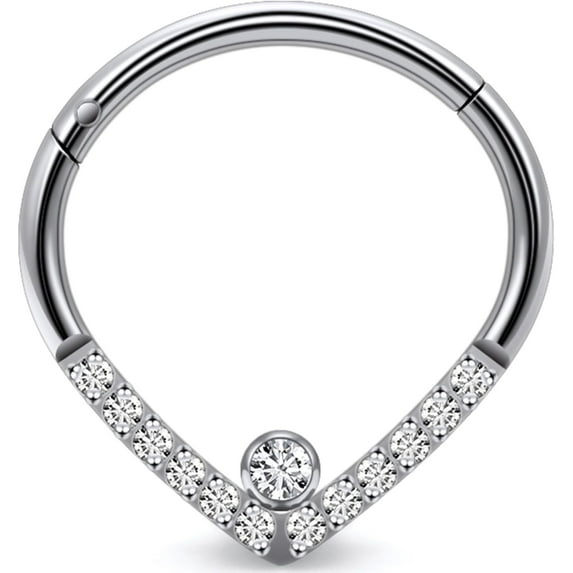 20G 18G 16G Titanium Nose Rings Hoops G23 Hinged Septum Nose Rings ...