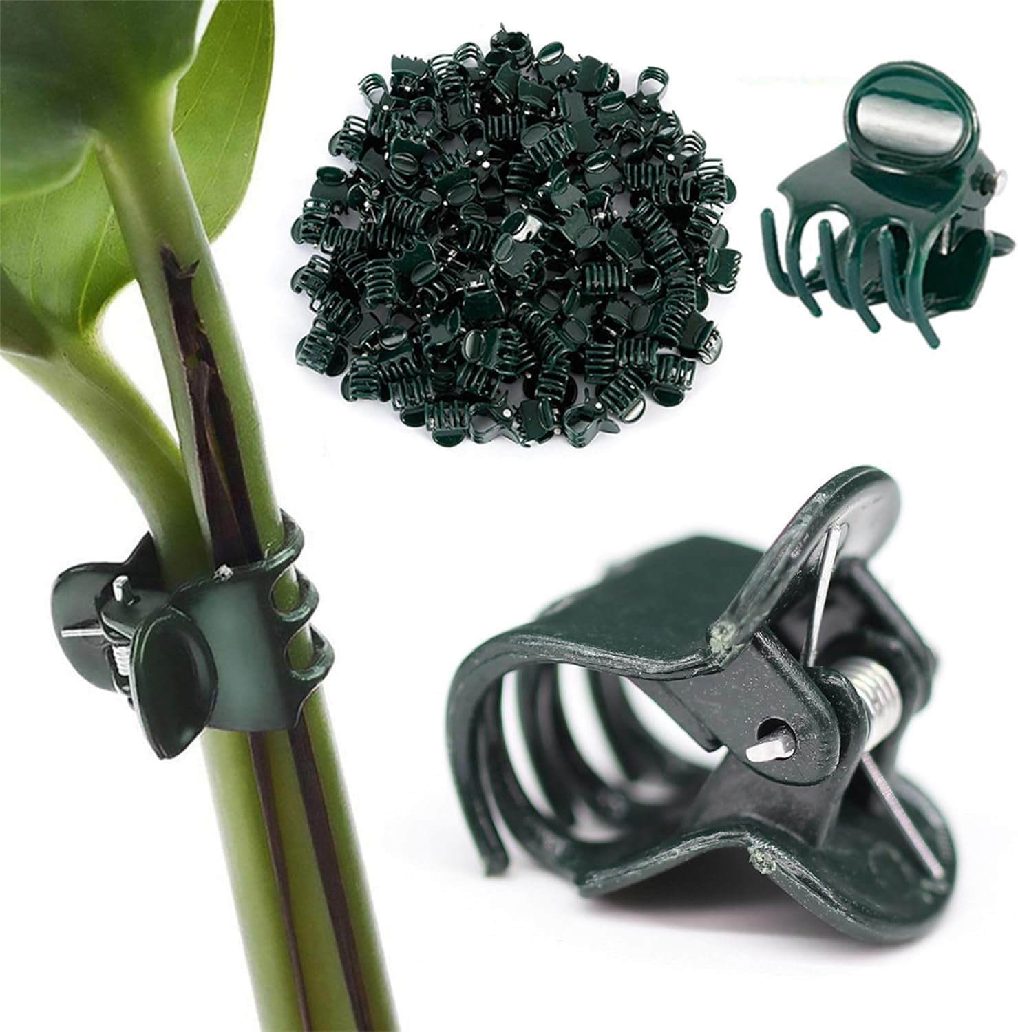 20PCS/100PCS Small Plant Clips for Climbing Plants, Plants Plastic ...