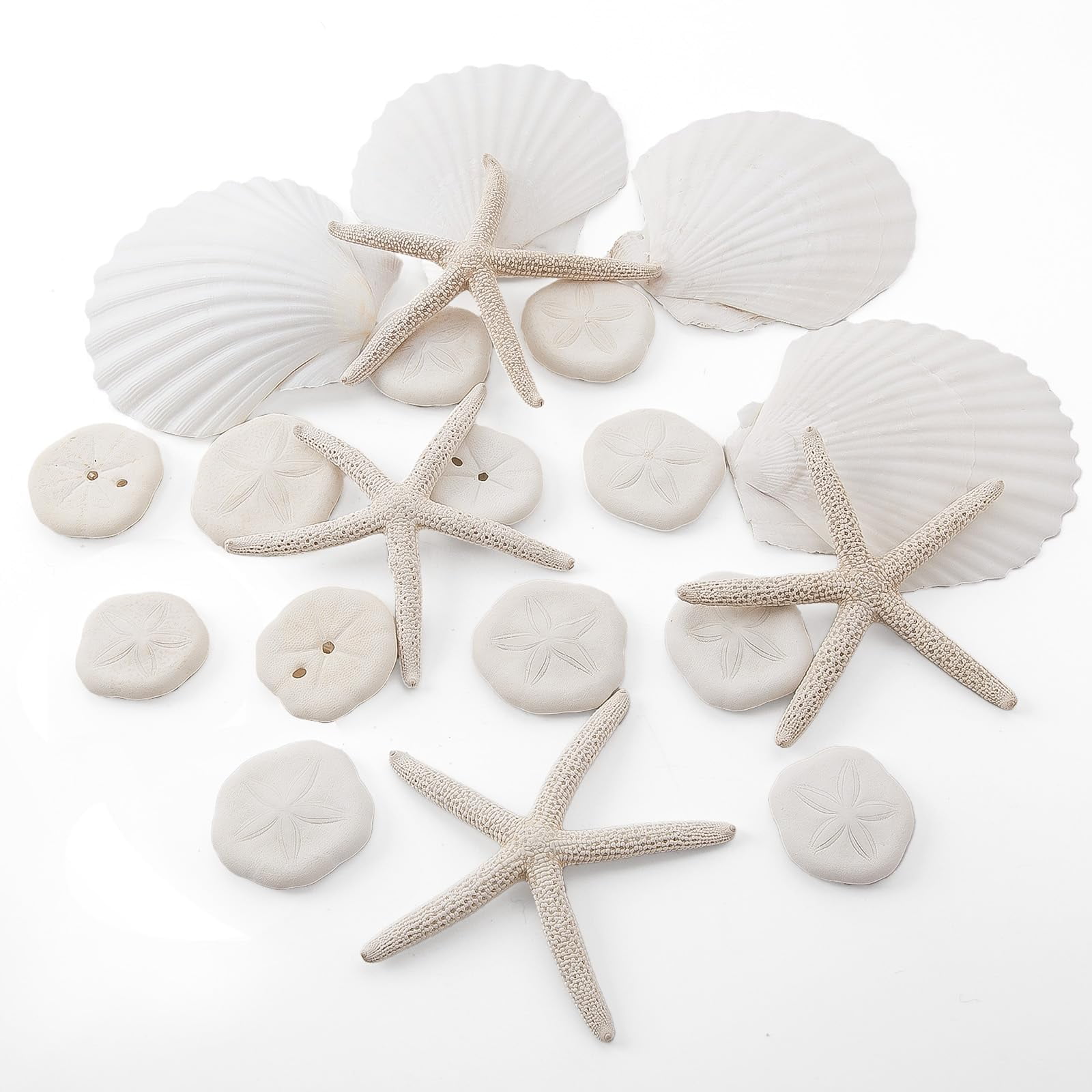 20PCS Decorative Sea Shells Set, Scallop Shells Starfish Sand Dollars 3 ...