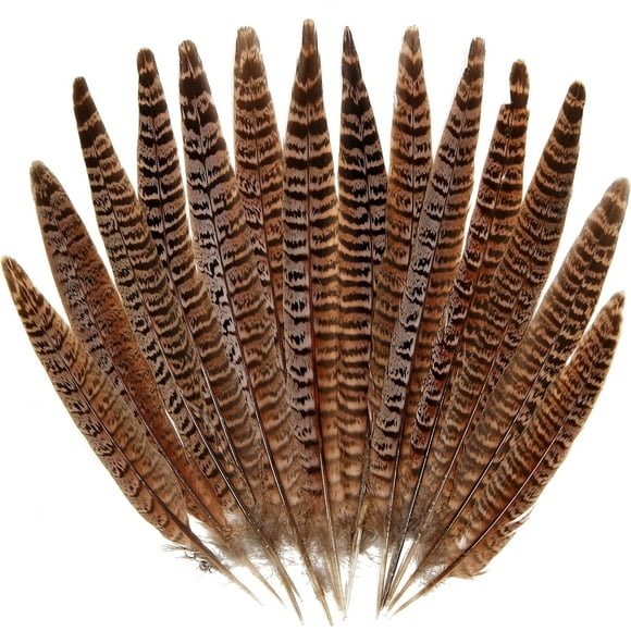 Craft Feathers in Basic Craft Supplies - Walmart.com