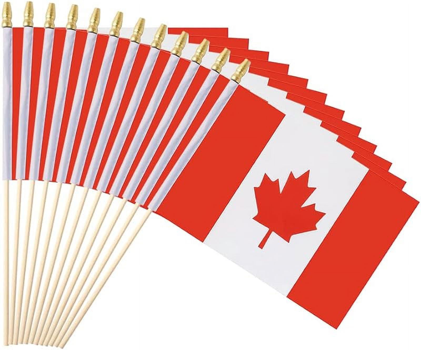 20Pack Small Mexico Flag Handheld Mini Mexican Flag on Stick 5x8 Inch ...