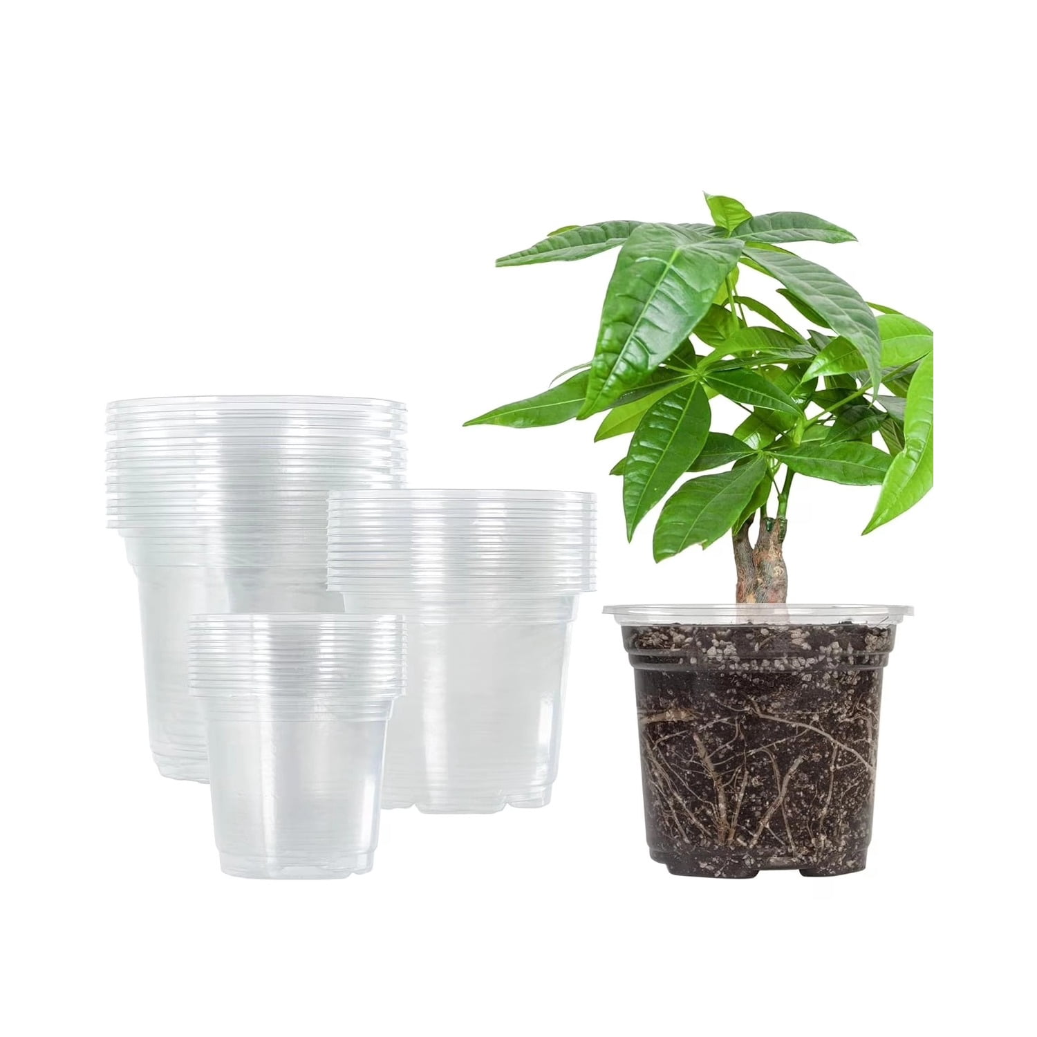 20Packs Clear Nursery Pots Variety Pack, Transparent Plastic Plant Pots ...