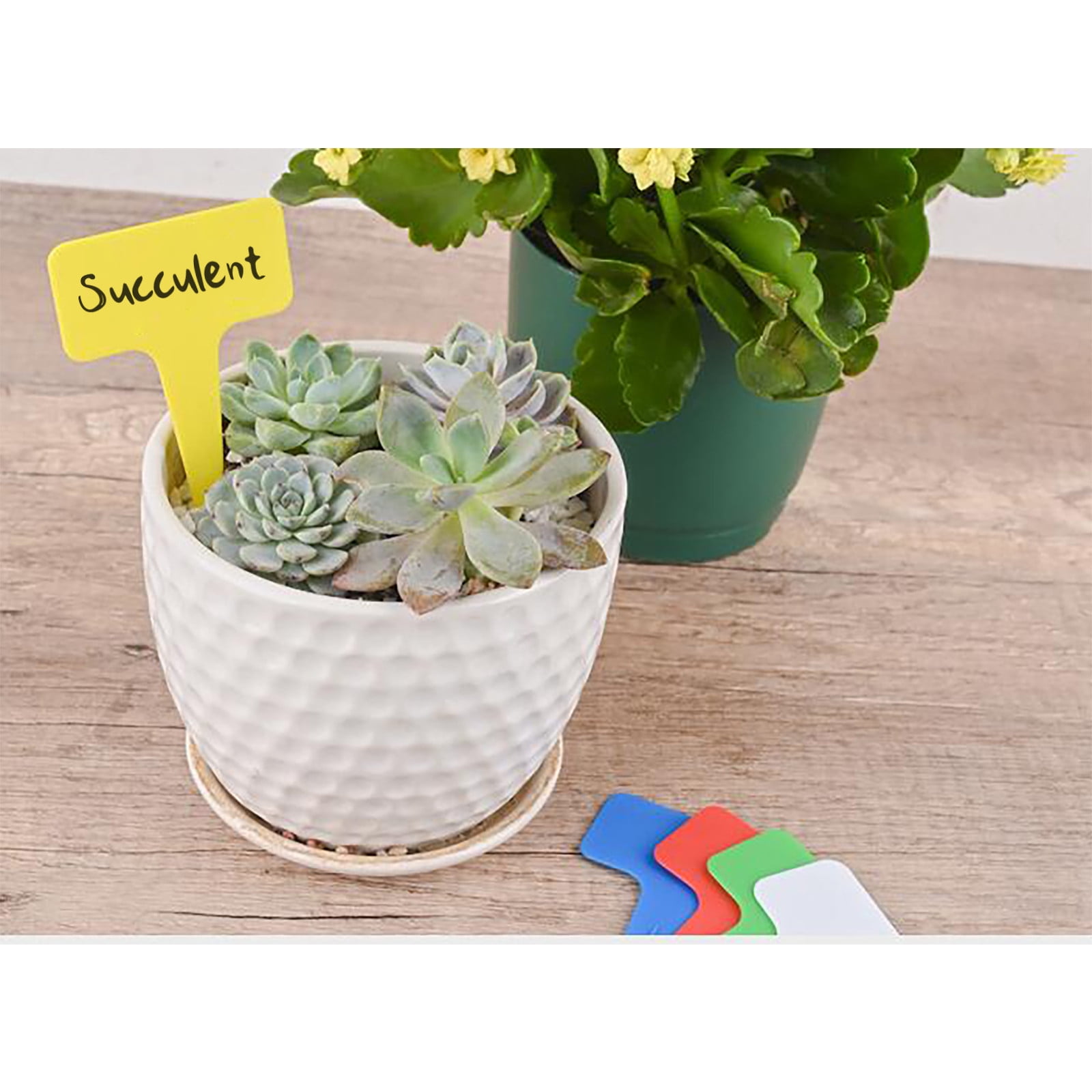 20Pc Plant Markers,Plant Labels Tags T-Type,Plastic Flower Inserting ...