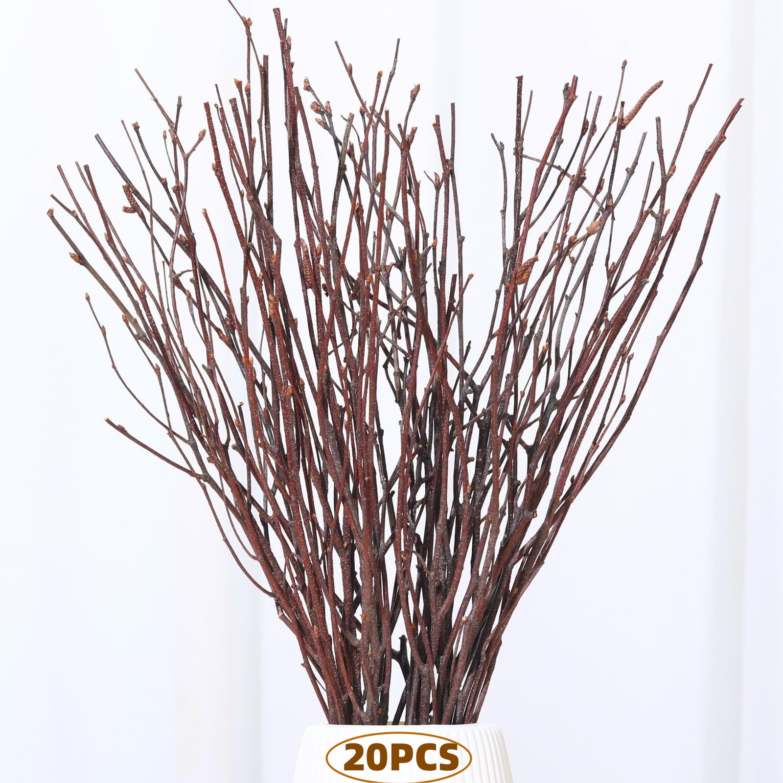 20Pcs Birch Twigs 17" Long Natural Dried Plants Decorative Birch ...