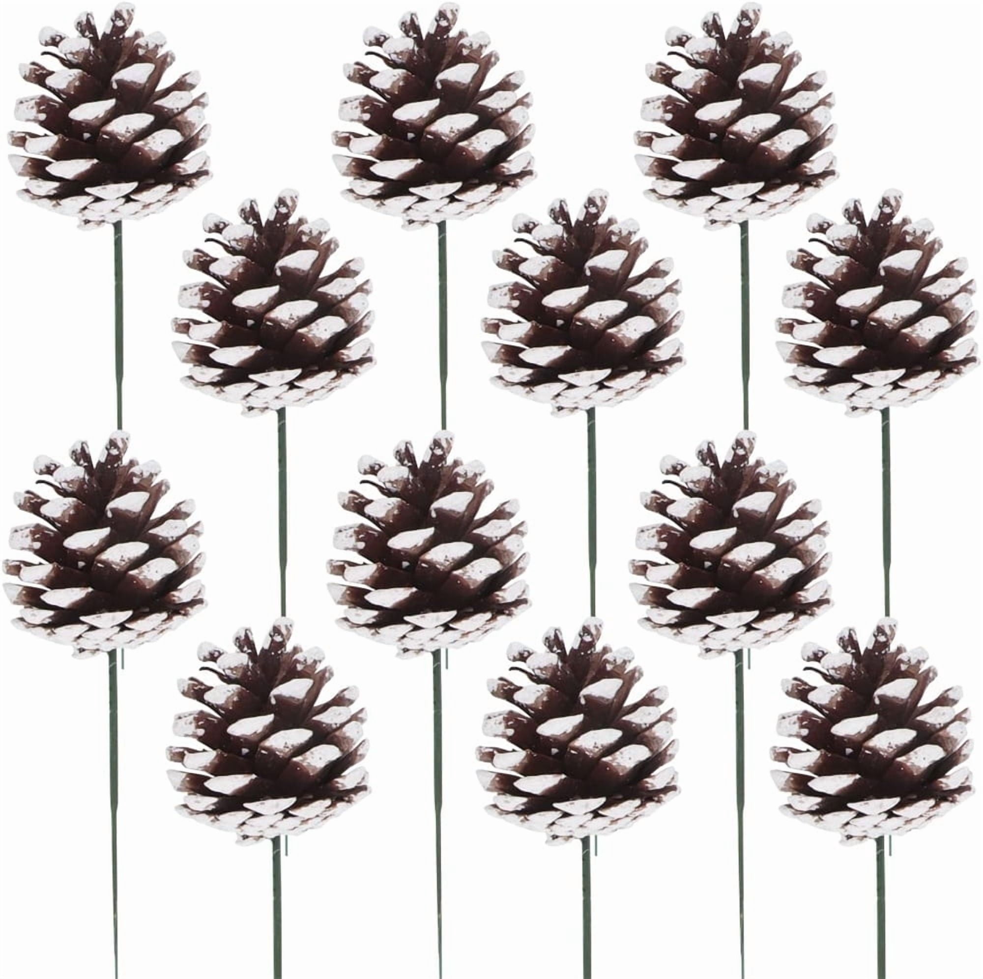 20Pcs Christmas Pine Cones Decorations,Natural Simulated Pinecones Snow ...