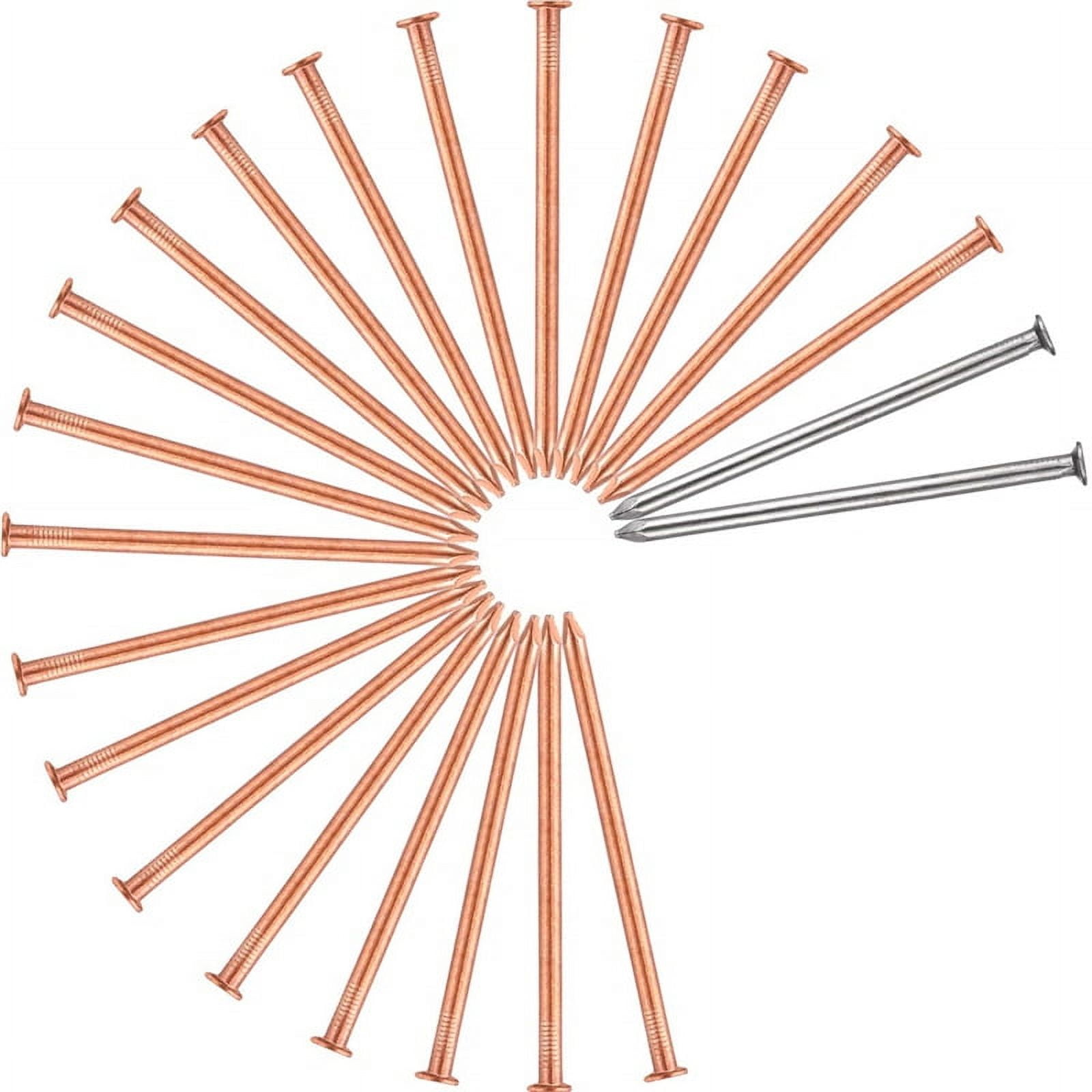 20Pcs Copper Nails for Killing Trees Stump Root 3.5 Inch Long Nail ...