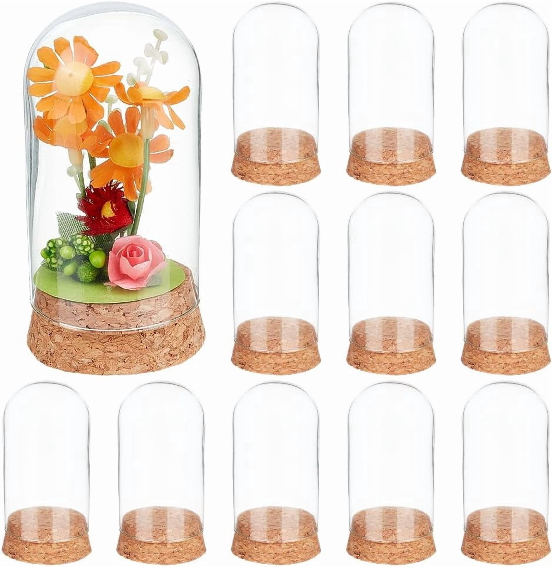 20Pcs Glass Dome Cover Decorative Display Case Cloche Bell Jar ...