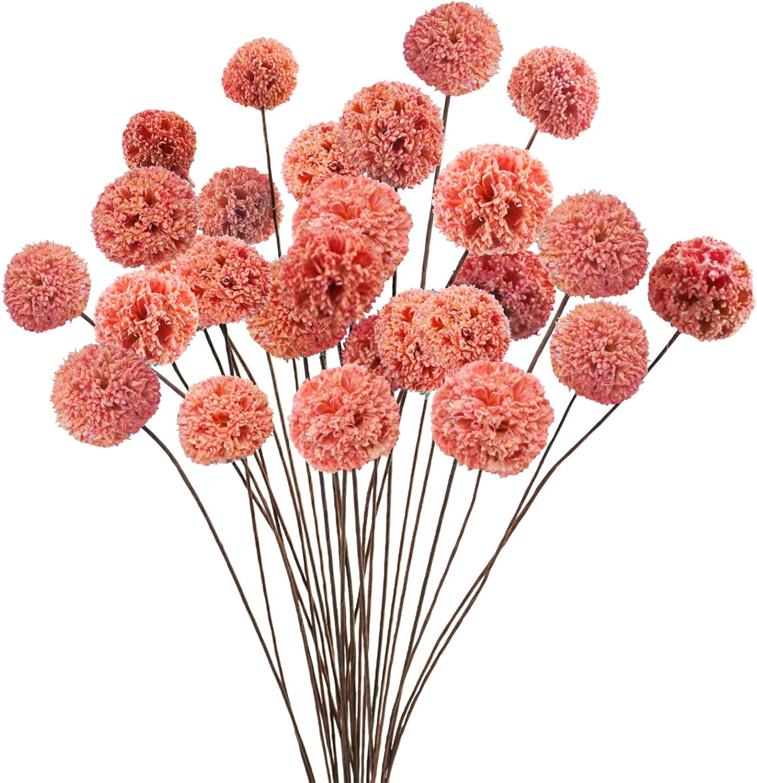 20Pcs Natural Craspedia Dried Flowers,Happon Pink Billy Buttons Balls ...