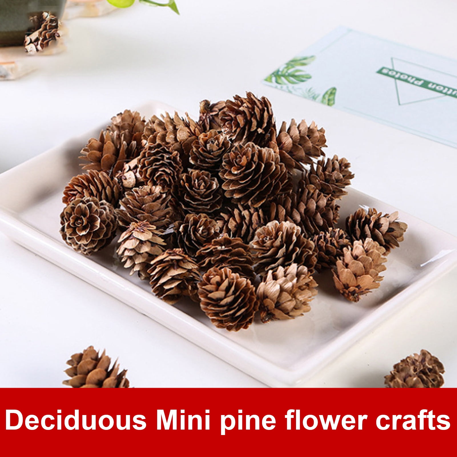 kiskick 20Pcs Mini Decorative Fake Pine Cones, Small DIY Craft for Home ...