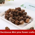 kiskick 20Pcs Mini Decorative Fake Pine Cones, Small DIY Craft for Home ...