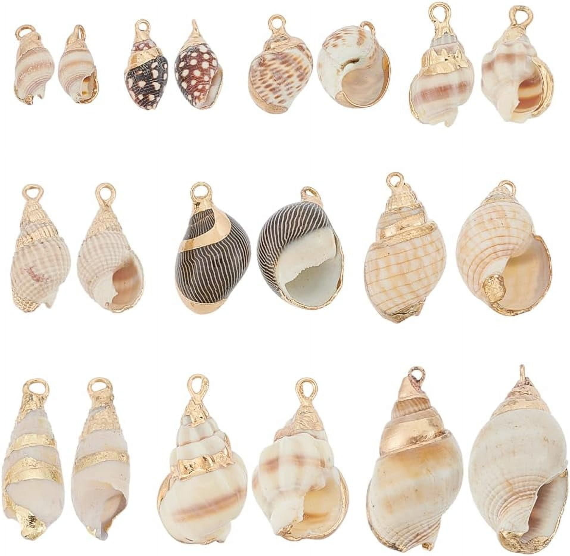20Pcs Natural Shell Charms 10 Styles Spiral Seashells Pendant Ocean ...