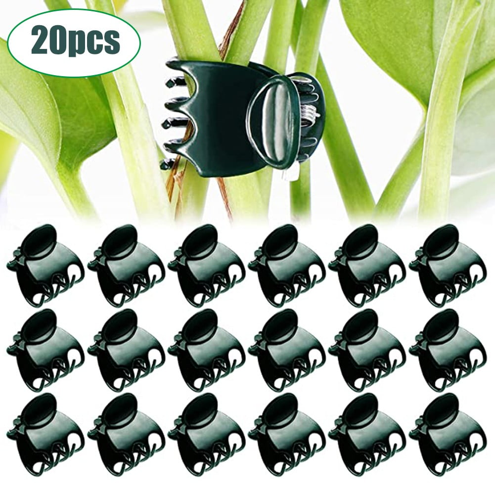 20Pcs Plant Clips Plant Climbing Fixing Clip Butterfly Orchid Flower ...
