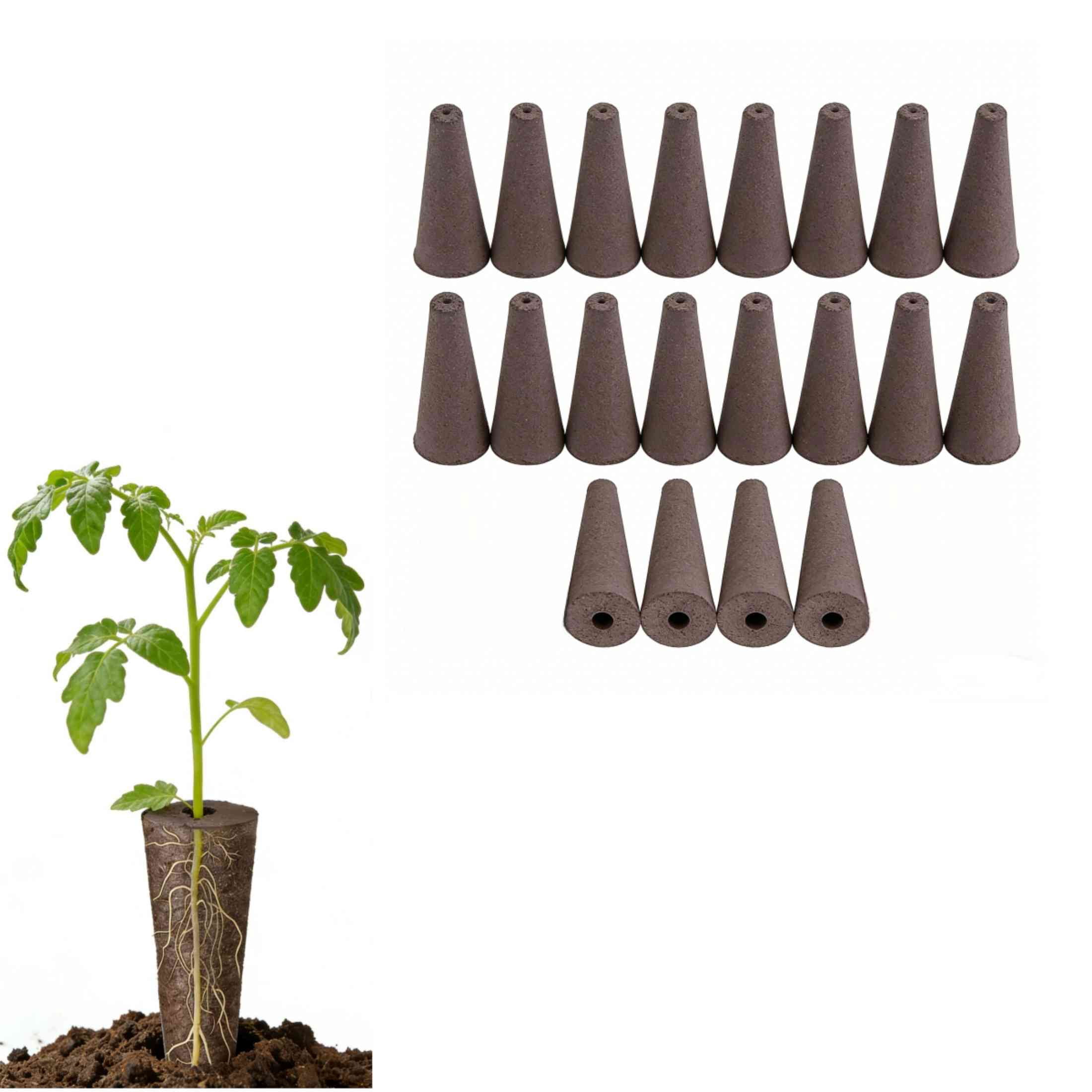 20Pcs Seed Pods Replacement, Grow Sponges, Sponges Seed Growth Kit for ...
