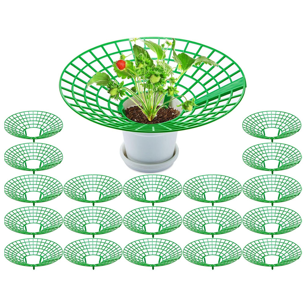20Pcs Strawberry Supports Strawberry Growing Frame Strawberry Plant ...