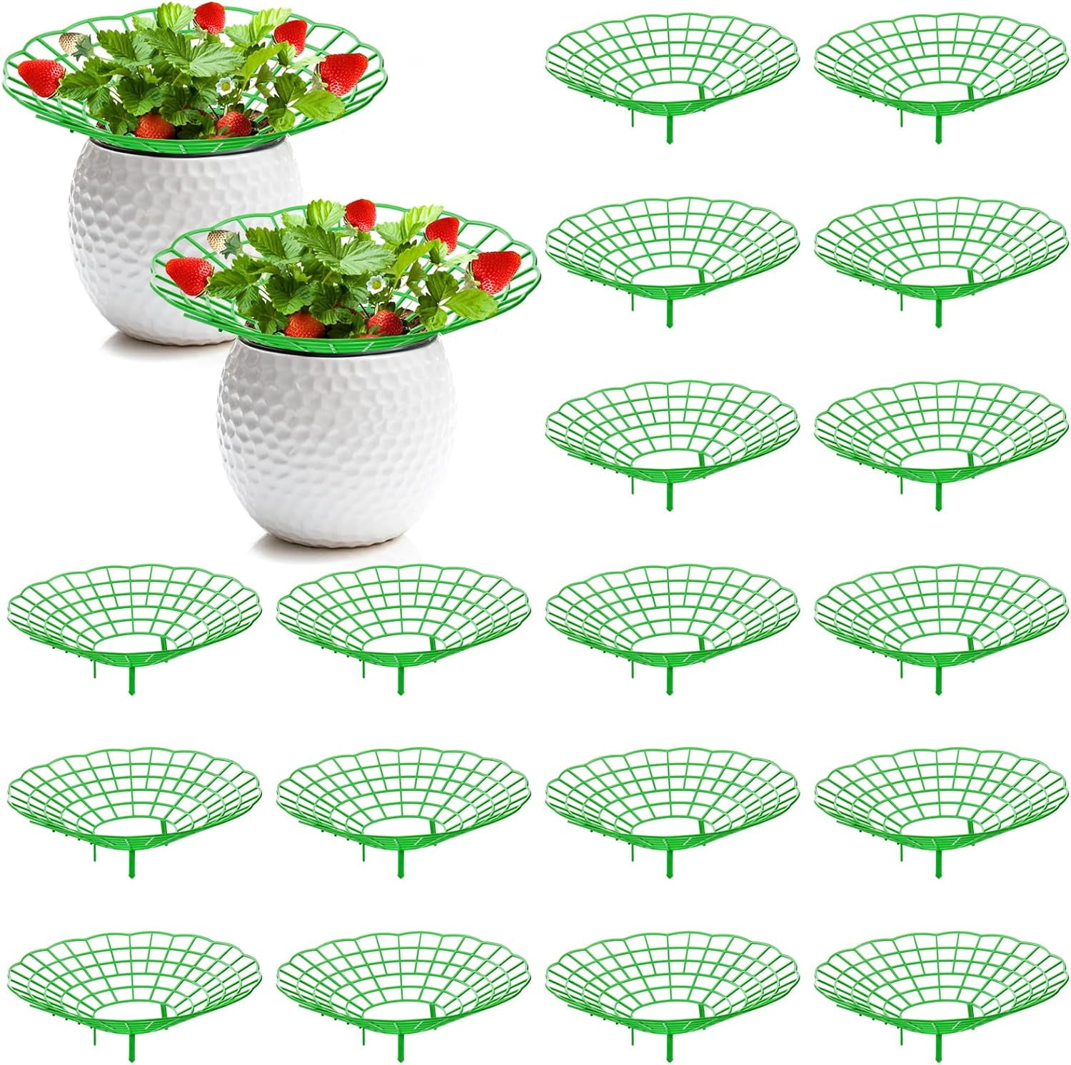 20Pcs Strawberry Supports, Strawberry Plant Stand With 3 Sturdy Legs ...