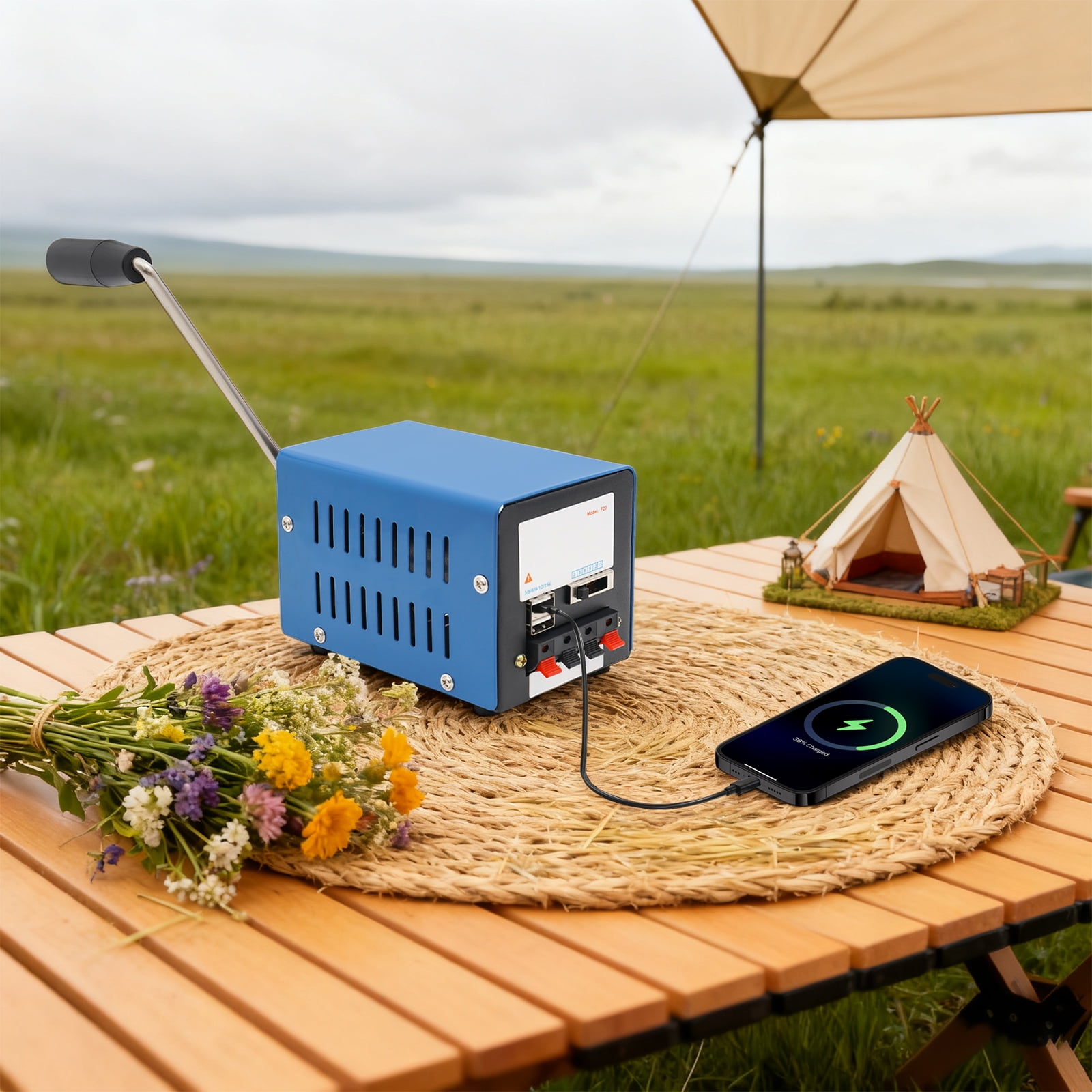 20W Portable Hand Crank Generator, USB Emergency Charger with ...