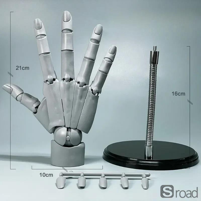 20cm (8 Inches) Poseable Articulated Hand Model， Realistic Skeleton ...