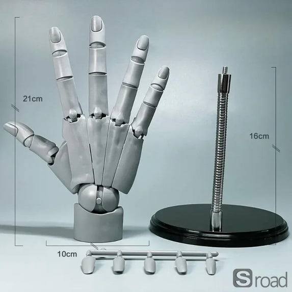 20cm (8 Inches) Poseable Articulated Hand Model， Realistic Skeleton ...