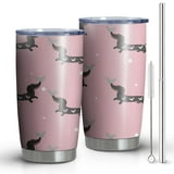 20oz Tumblers Cute Cartoon Dachshund Stainless Steel Vacuum Insulated ...