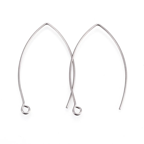 20pc Resistant 304 Stainless Steel Earring Hooks Ear Wire with ...