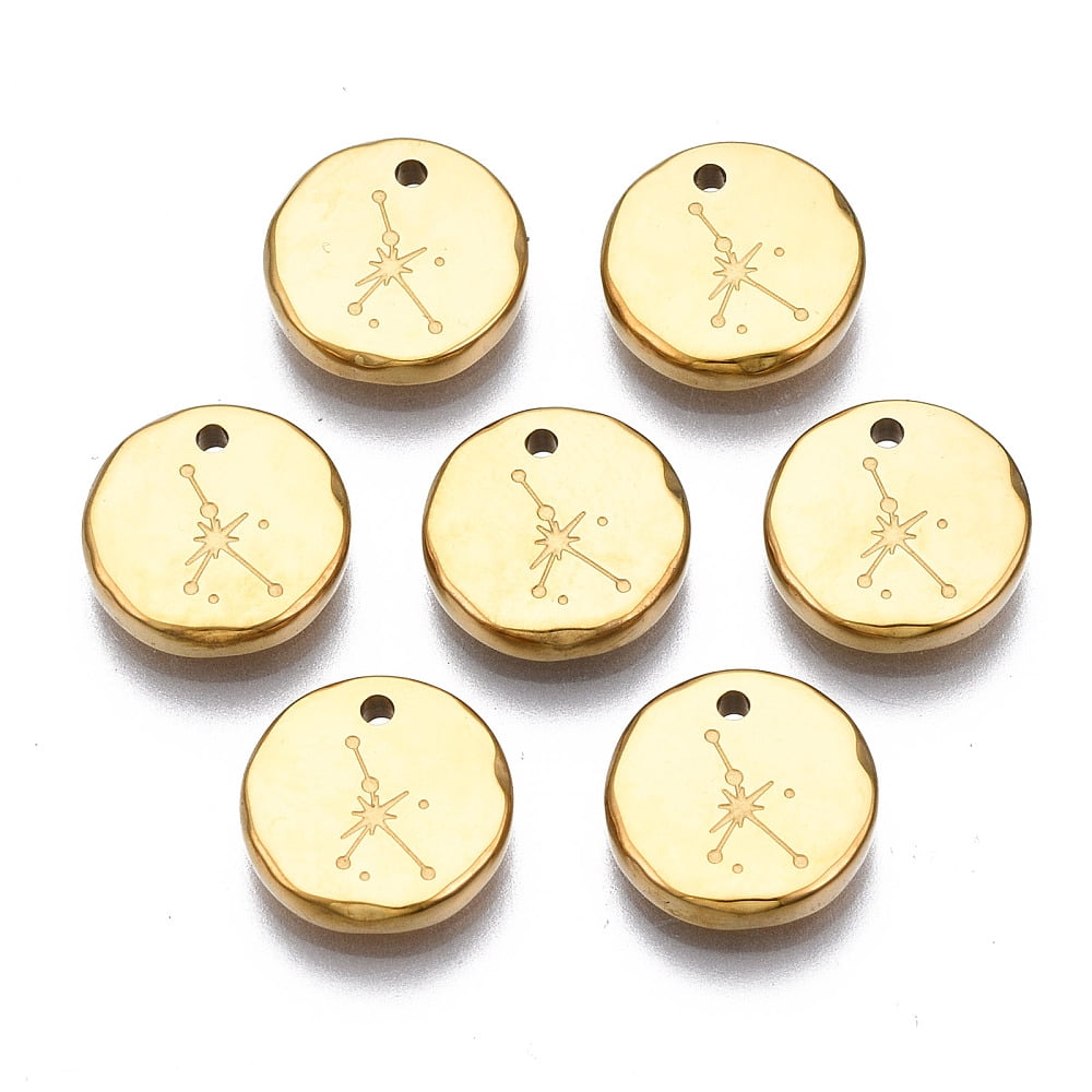 20pcs 316 Surgical Stainless Steel Charms Flat Round with Constellation ...