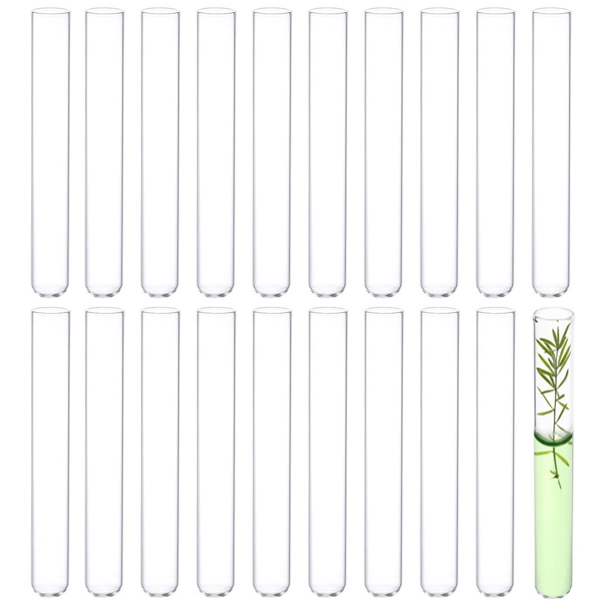 20pcs 3ml Borosilicate Glass Round Bottom Test Tubes, 10mmx75mm Clear ...