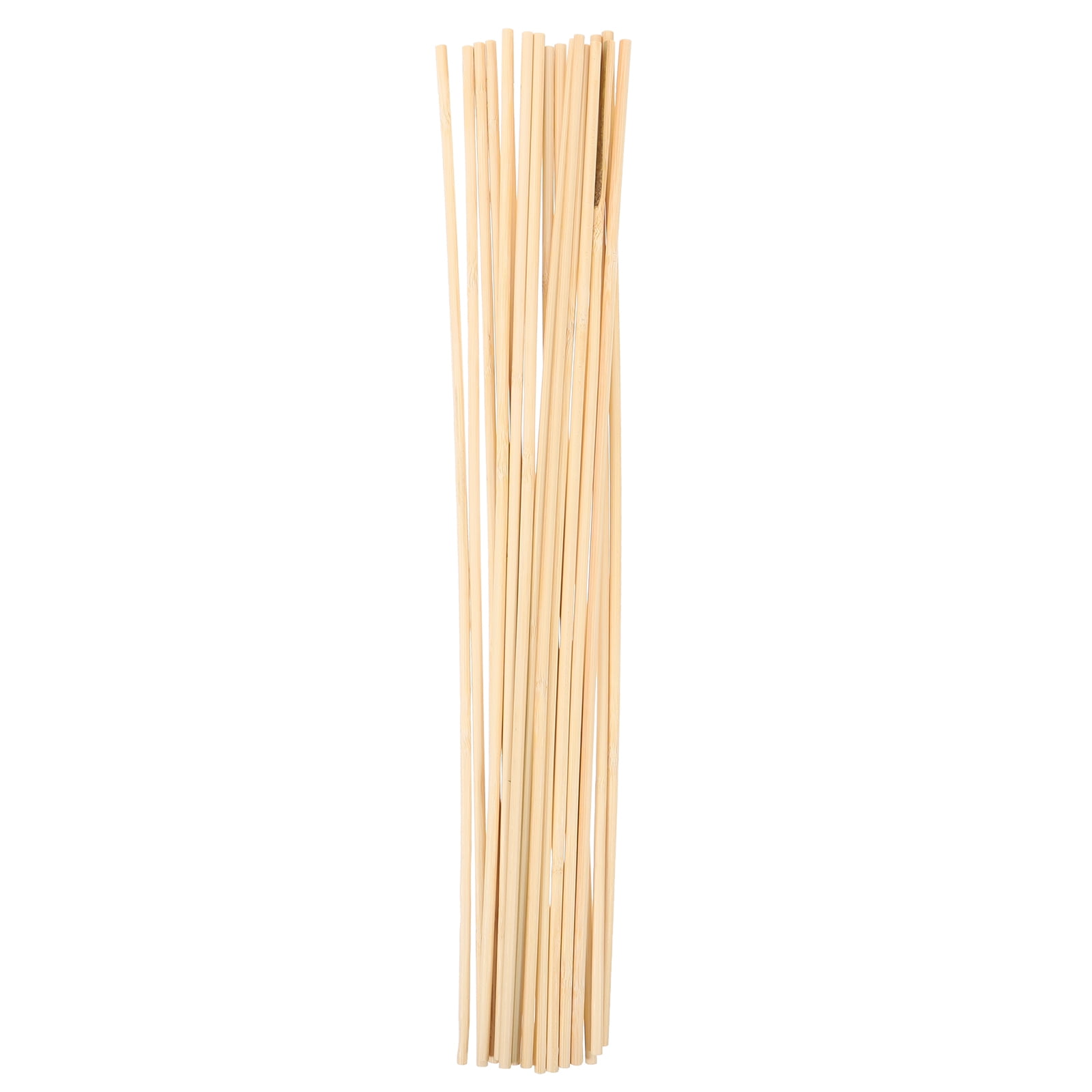 20pcs Garden Stakes Plant Climbing Sticks Decorative Potted Plants ...