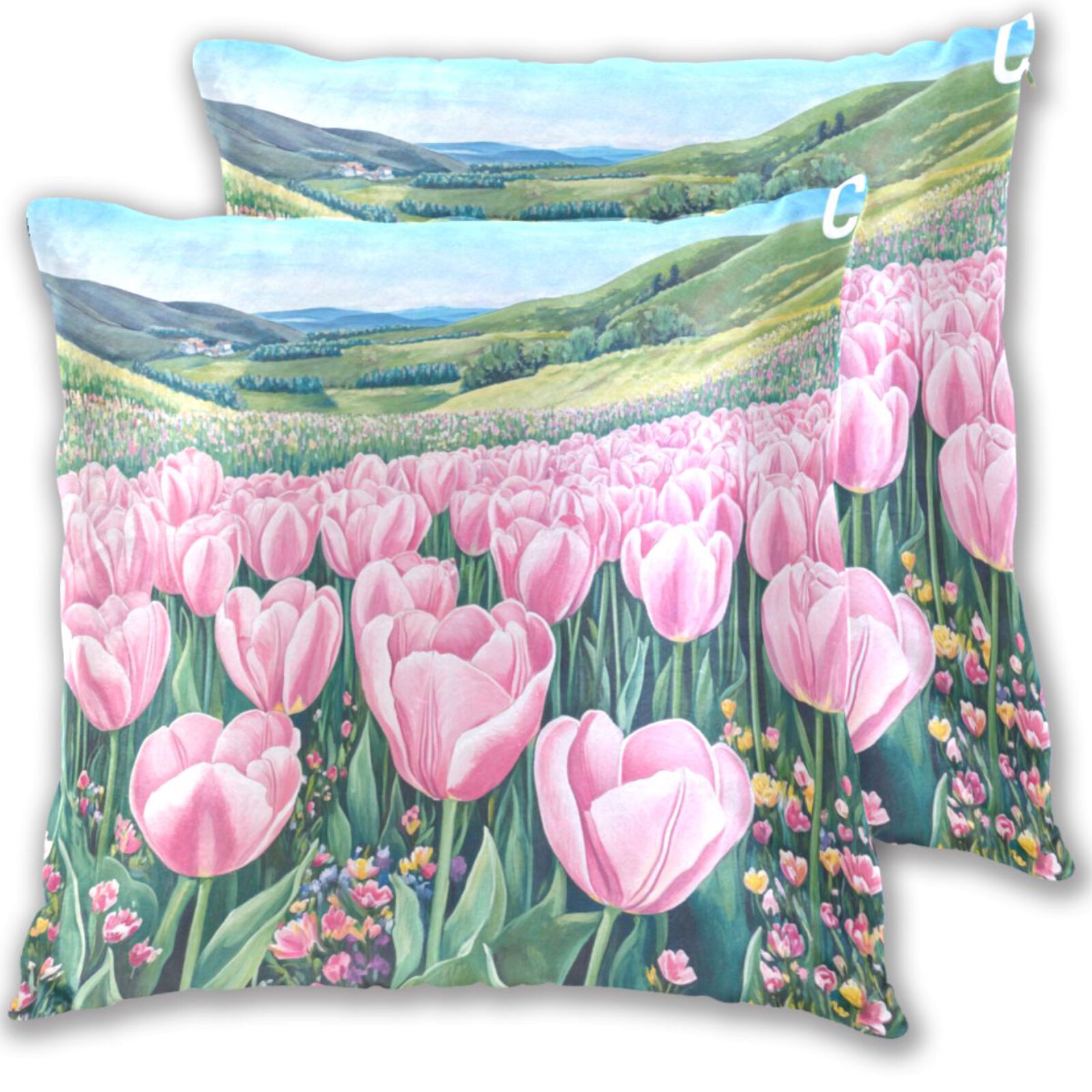 20x20 Inch Throw Pillow Covers 2-Pack - Cotton Velvet Double-Sided ...