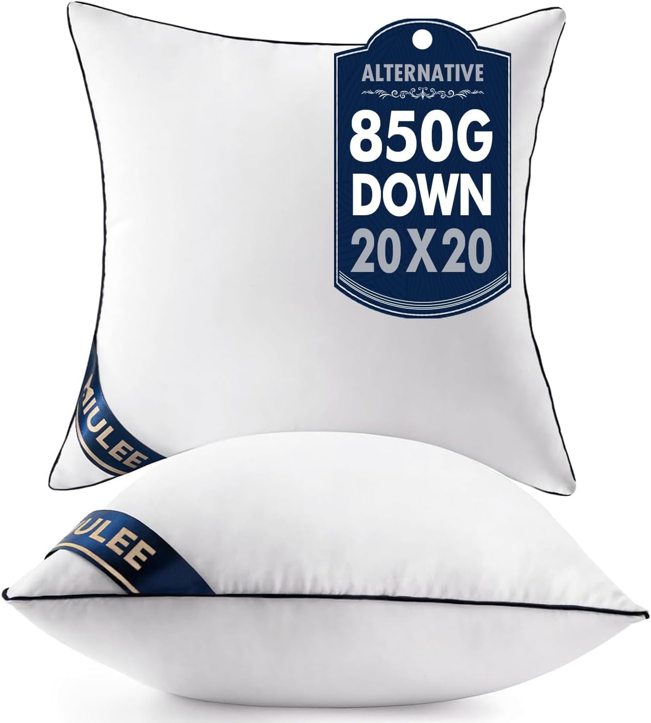 20x20 Pillow Inserts Set of 2 Throw Pillows 20 Inch Premium Down ...