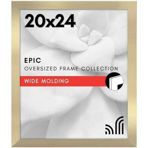 20x24 Picture Frame with Polished Plexiglass - Gold Picture Frame ...
