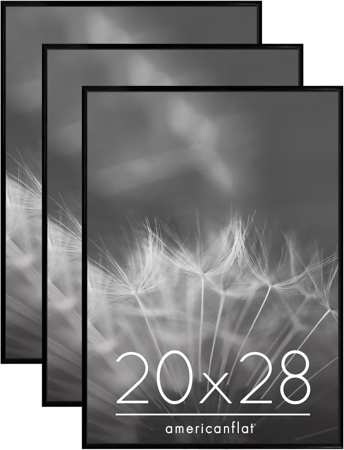 20x28 Picture Frame with Polished Front Cover - Set of 3 - Slide-In ...