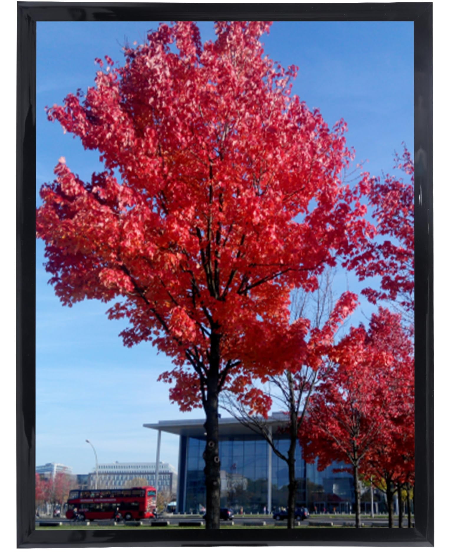 20x30 Poster Frame Black for Wall Display, Studio Gallery Picture Frame ...