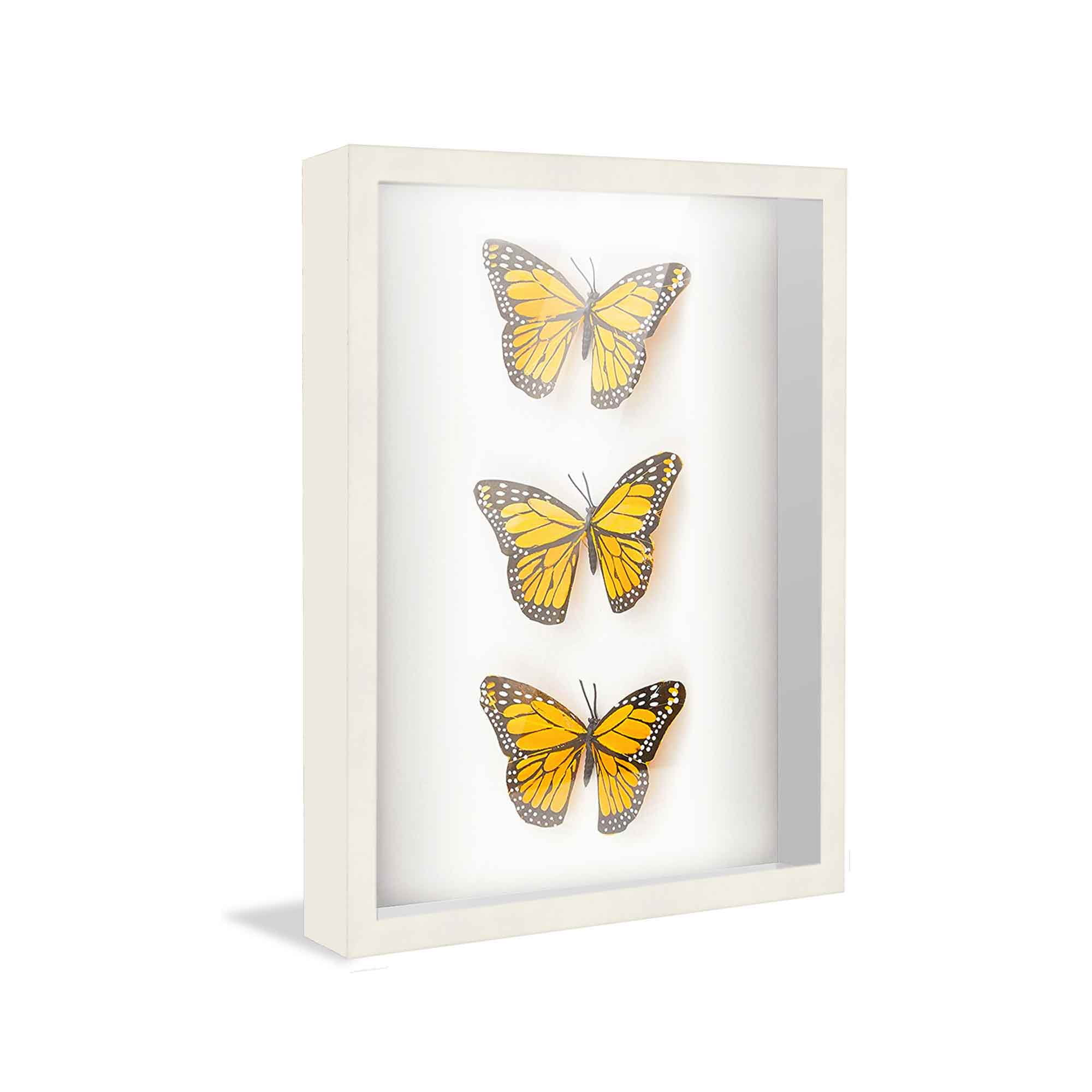 Large Size 20x32 White Wood Shadow Box Frame, 2 Inches Deep, UV ...